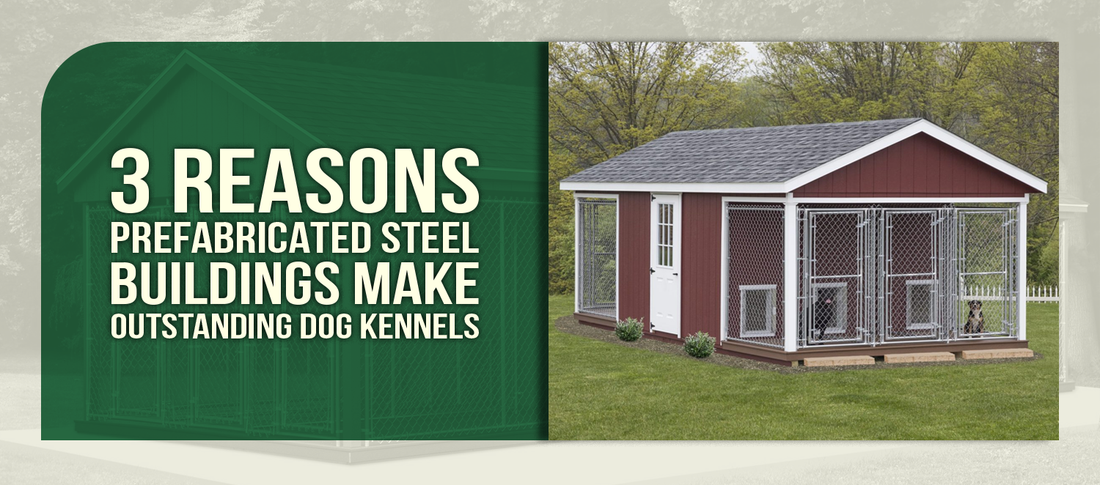3 Reasons Prefabricated Steel Buildings Make Outstanding Dog Kennels ...