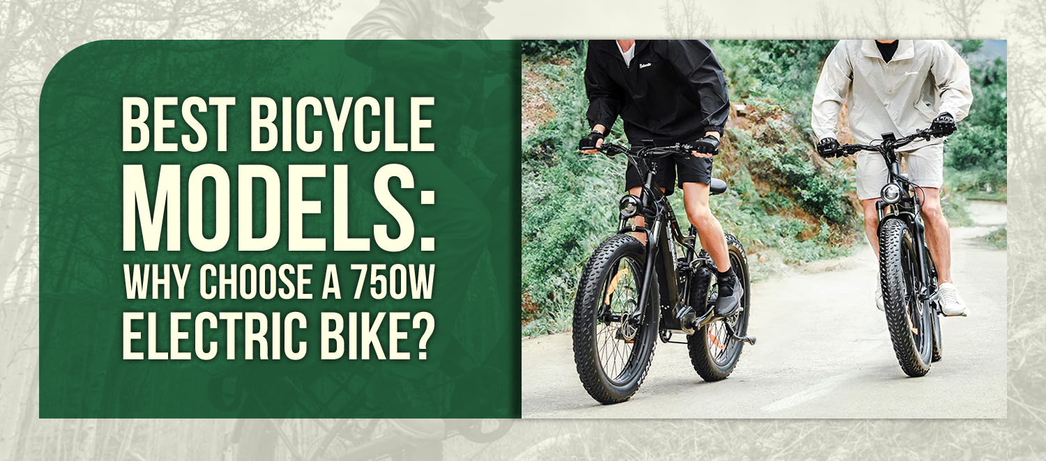 Best Bicycle Models: Why Choose a 750W Electric Bike? – Build Your ...