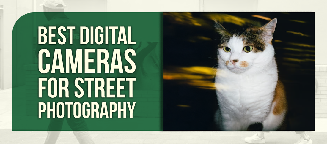 Best Digital Cameras for Street Photography – Build Your Perfect Outdoor