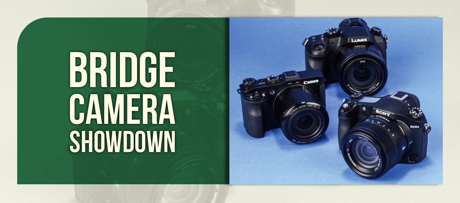 Bridge Camera Showdown – Build Your Perfect Outdoor