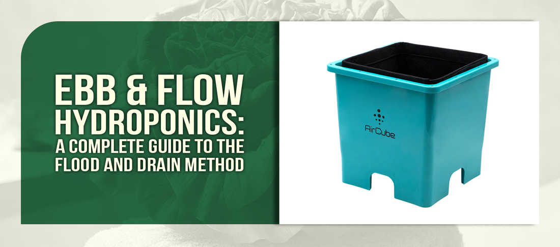 Ebb & Flow Hydroponics: A Complete Guide to the Flood and Drain Method – Shop Smarter Relax Outdoors