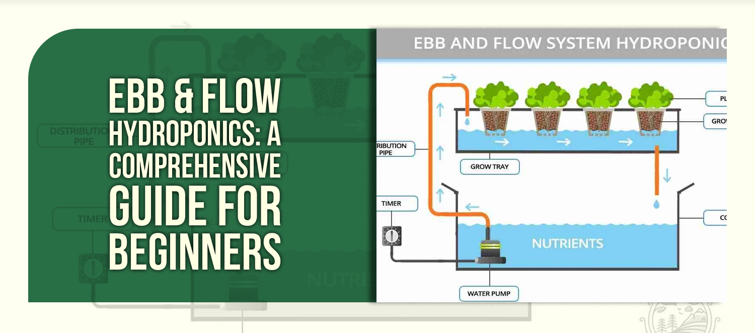 Ebb & Flow Hydroponics: A Comprehensive Guide for Beginners – Build ...