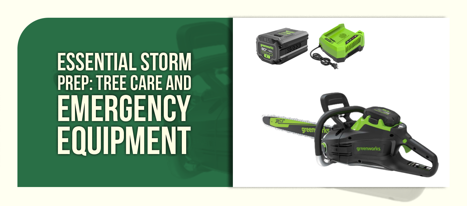 Storm Preparedness for Property Owners: Essential Tree Management and ...