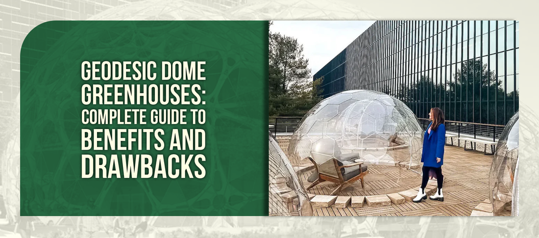 Geodesic Dome Greenhouses: Complete Guide to Benefits and Drawbacks ...