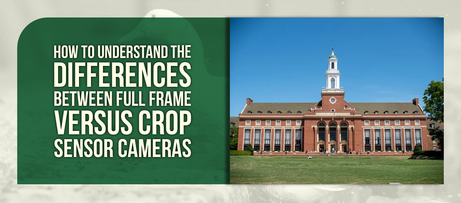 How to Understand the Differences Between Full Frame Versus Crop Senso ...