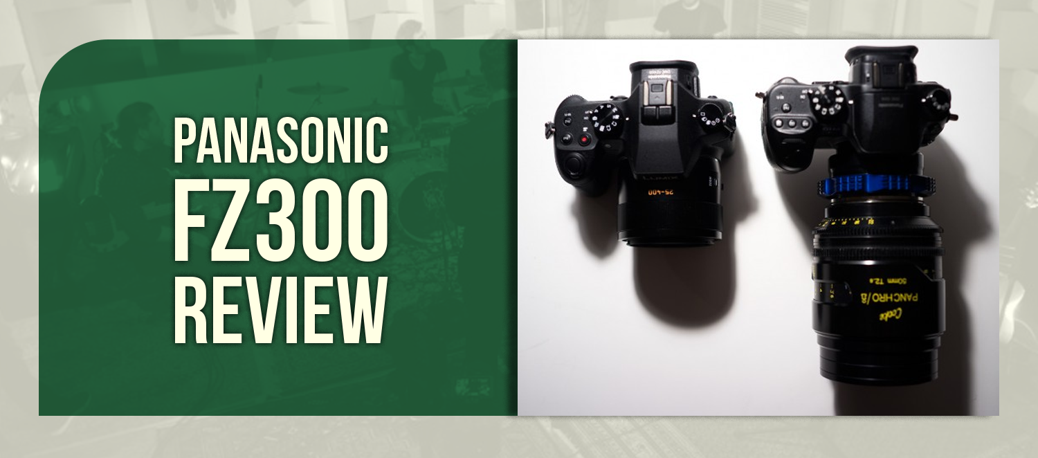 Panasonic FZ300 Review: The Affordable All-Weather Super Zoom – Build ...