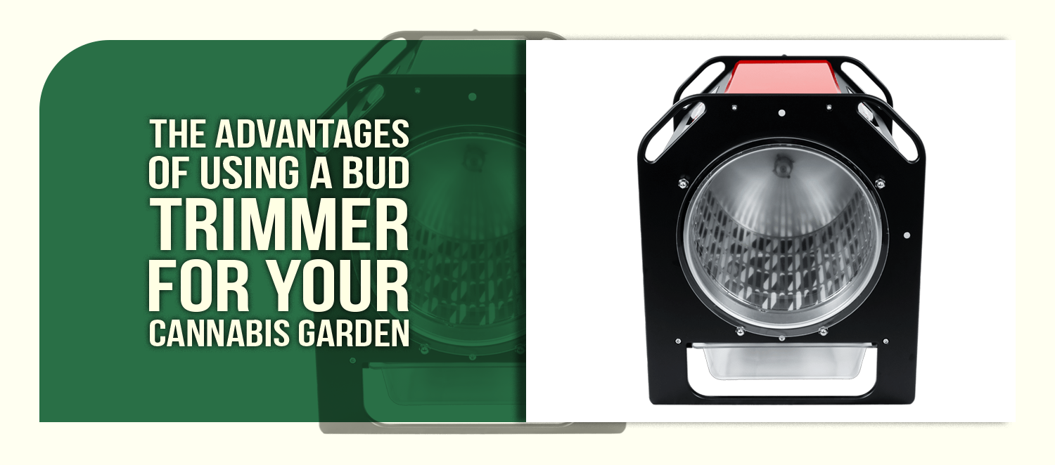 The Advantages of Using a Bud Trimmer for Your Cannabis Garden – Shop ...