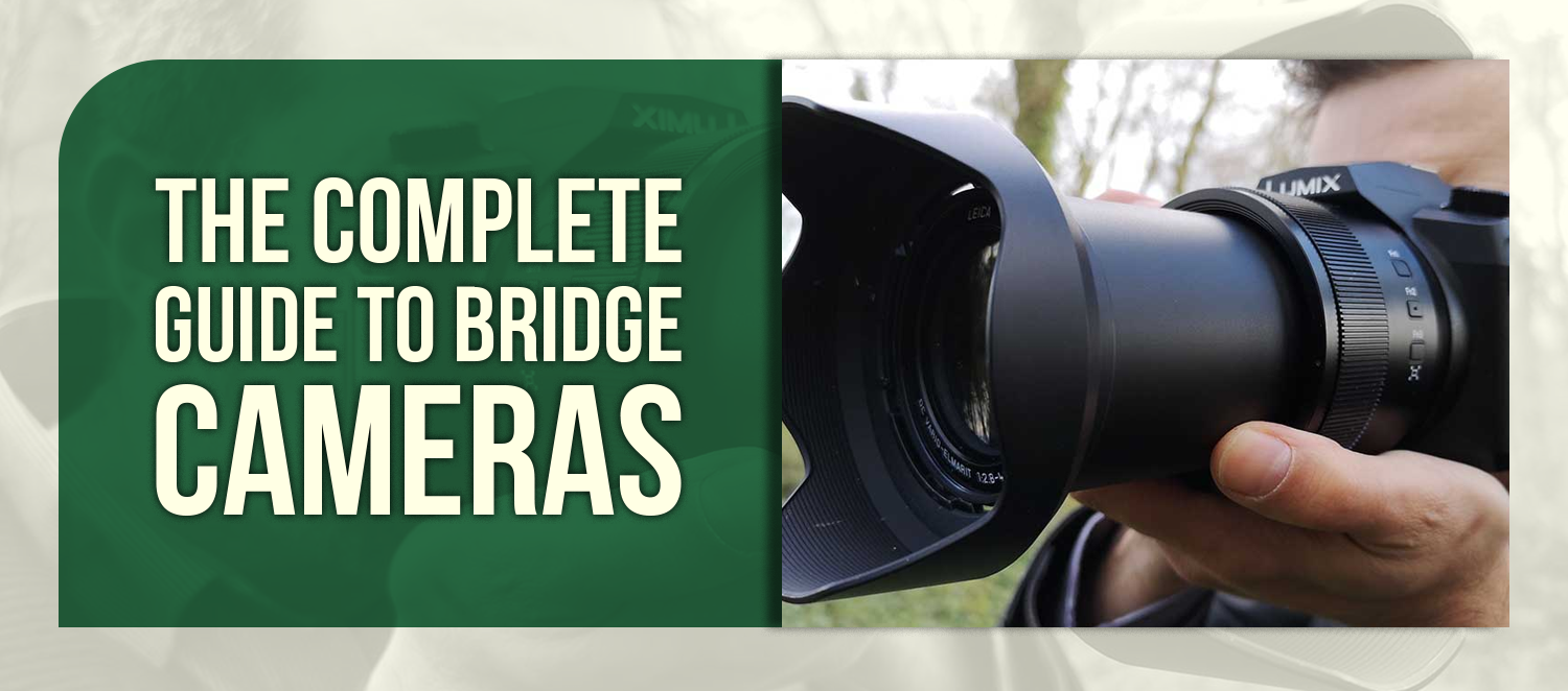 The Complete Guide to Bridge Cameras – Build Your Perfect Outdoor