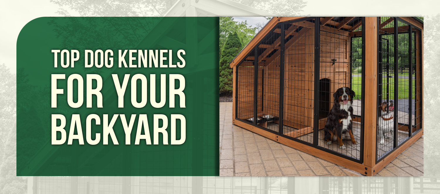Top Dog Kennels for Your Backyard: Durable, Secure & All-Weather D ...