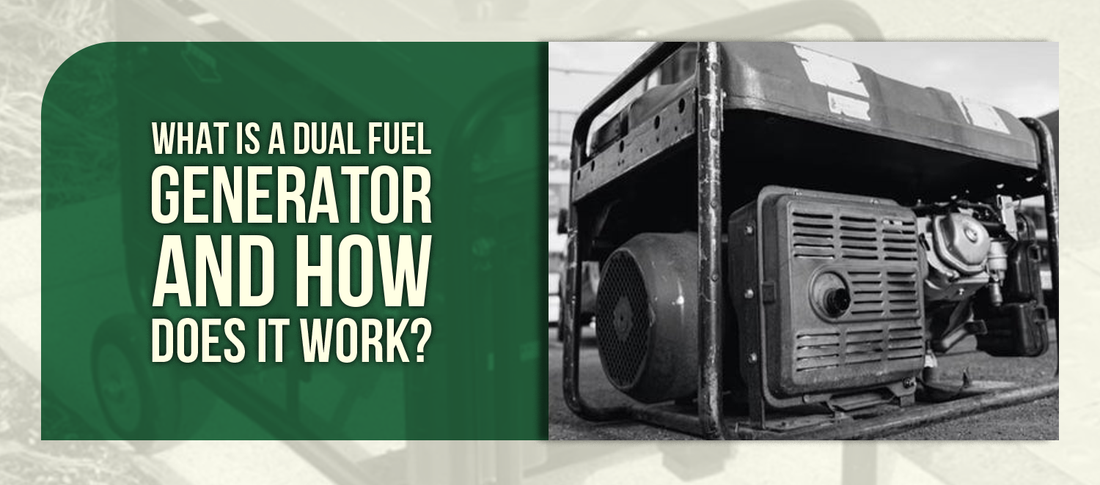 What Is a Dual Fuel Generator and How Does It Work? – Build Your ...