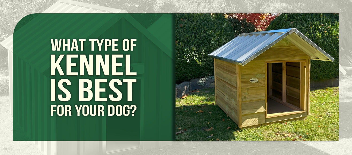 What Type of Kennel Is Best for Your Dog? – Build Your Perfect Outdoor
